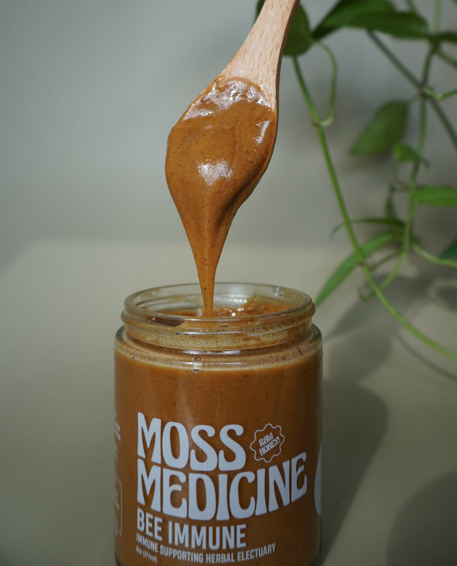 Infused Honey – Moss Medicine